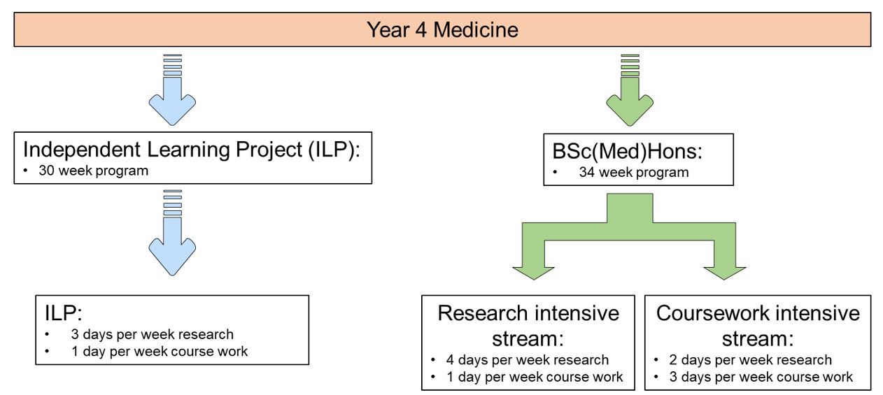 Re-imagining medical student research education - University of NSW ...